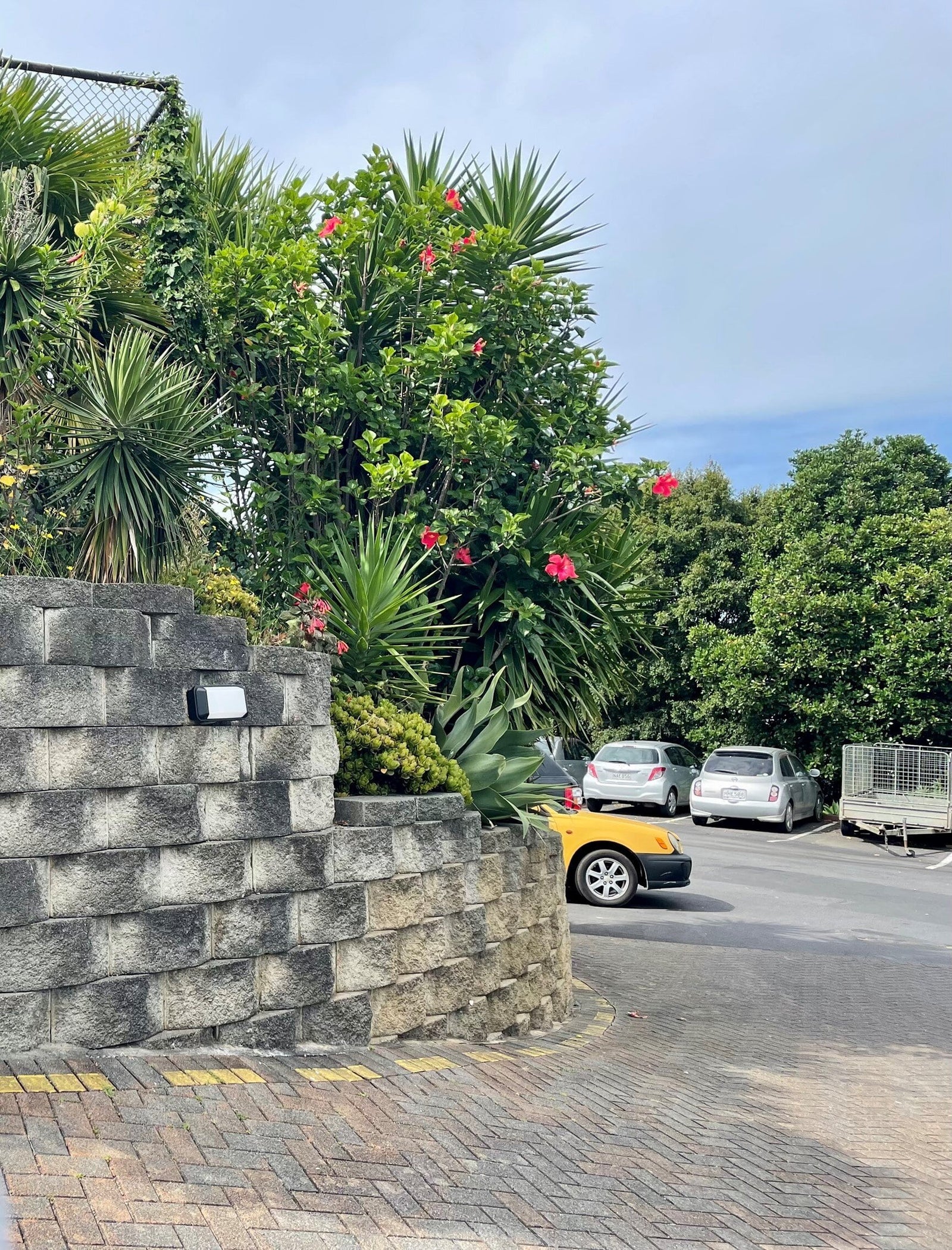 Burly - CCT Knockout Bulkhead